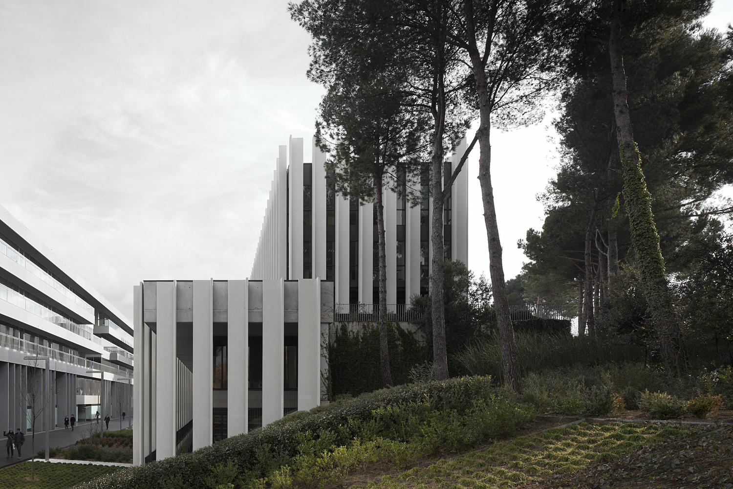 Esade Campus Sant Cugat – TDB Architects
